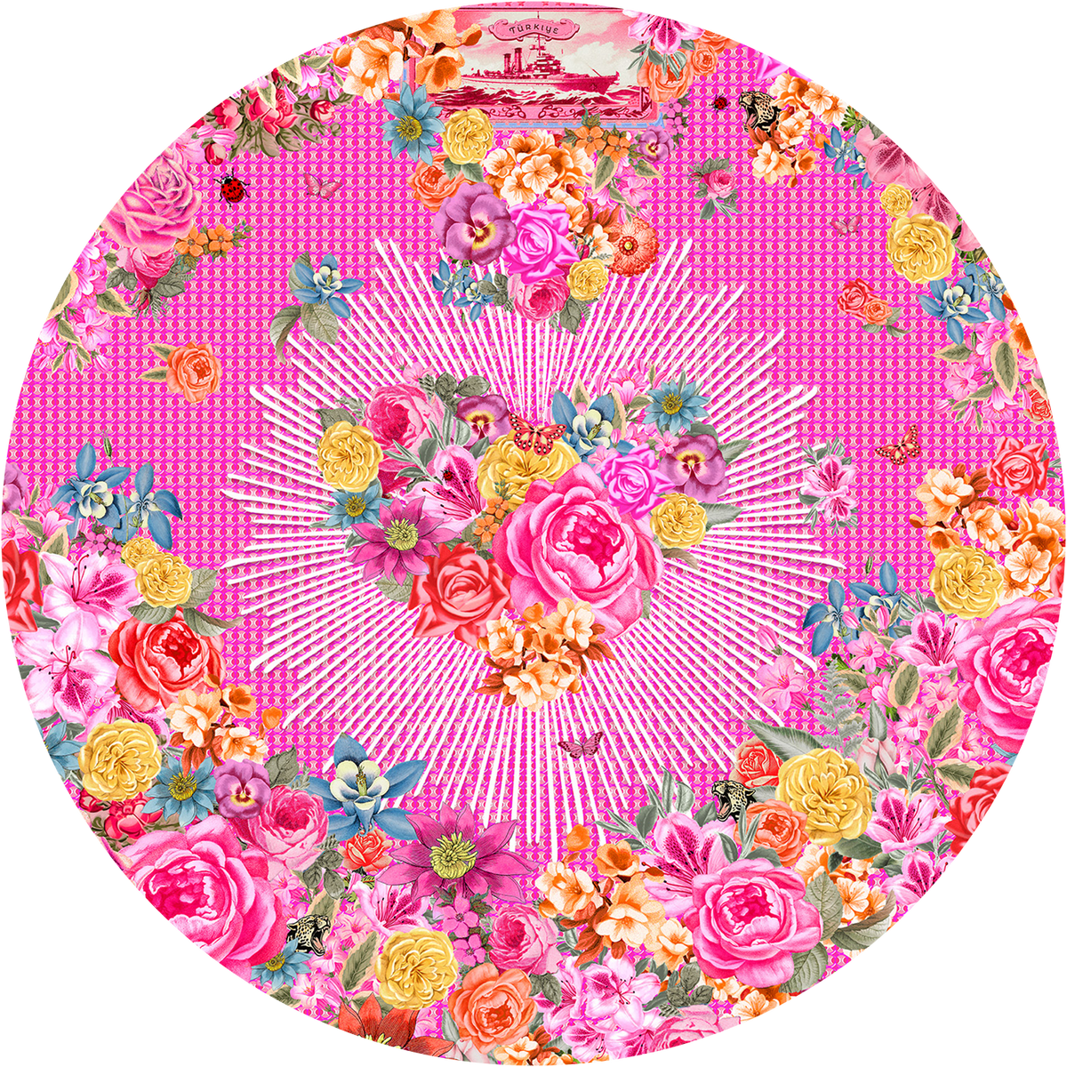 The Illustration Nation Print Collection | CAMILLA EU – CAMILLA UK